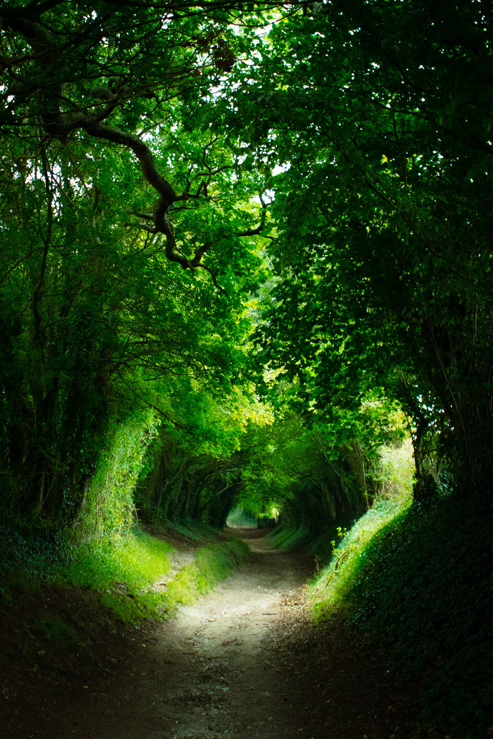 Eric Renard | The Independent Photographer