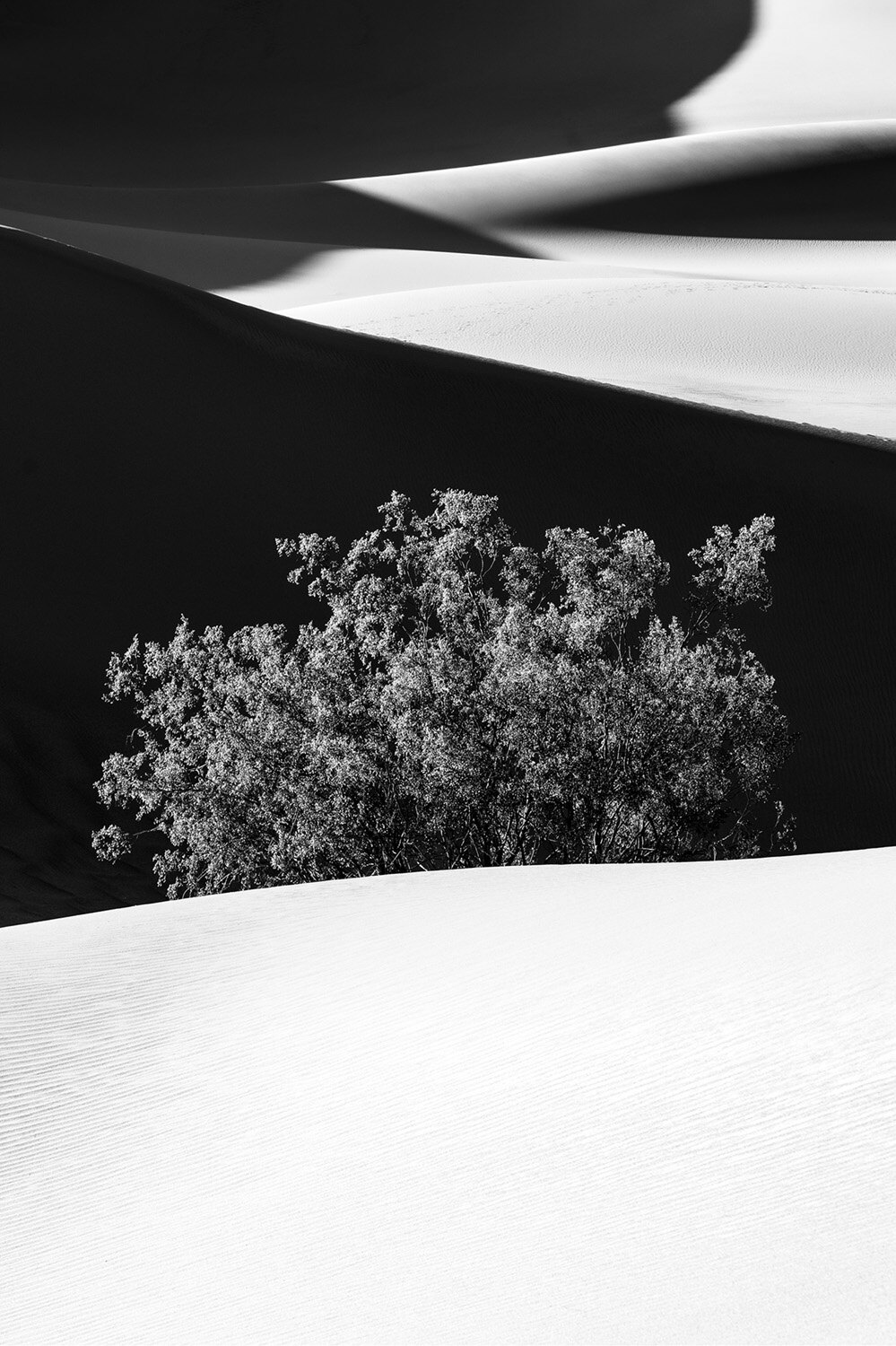 Eric Renard | The Independent Photographer