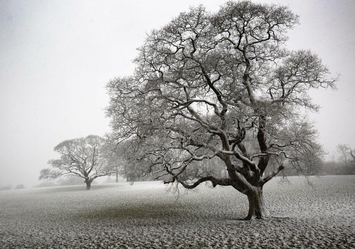 Benjamin Hawkins | The Independent Photographer