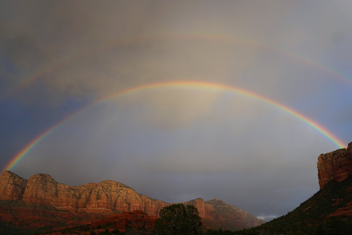 Ally Carpenter | The Independent Photographer