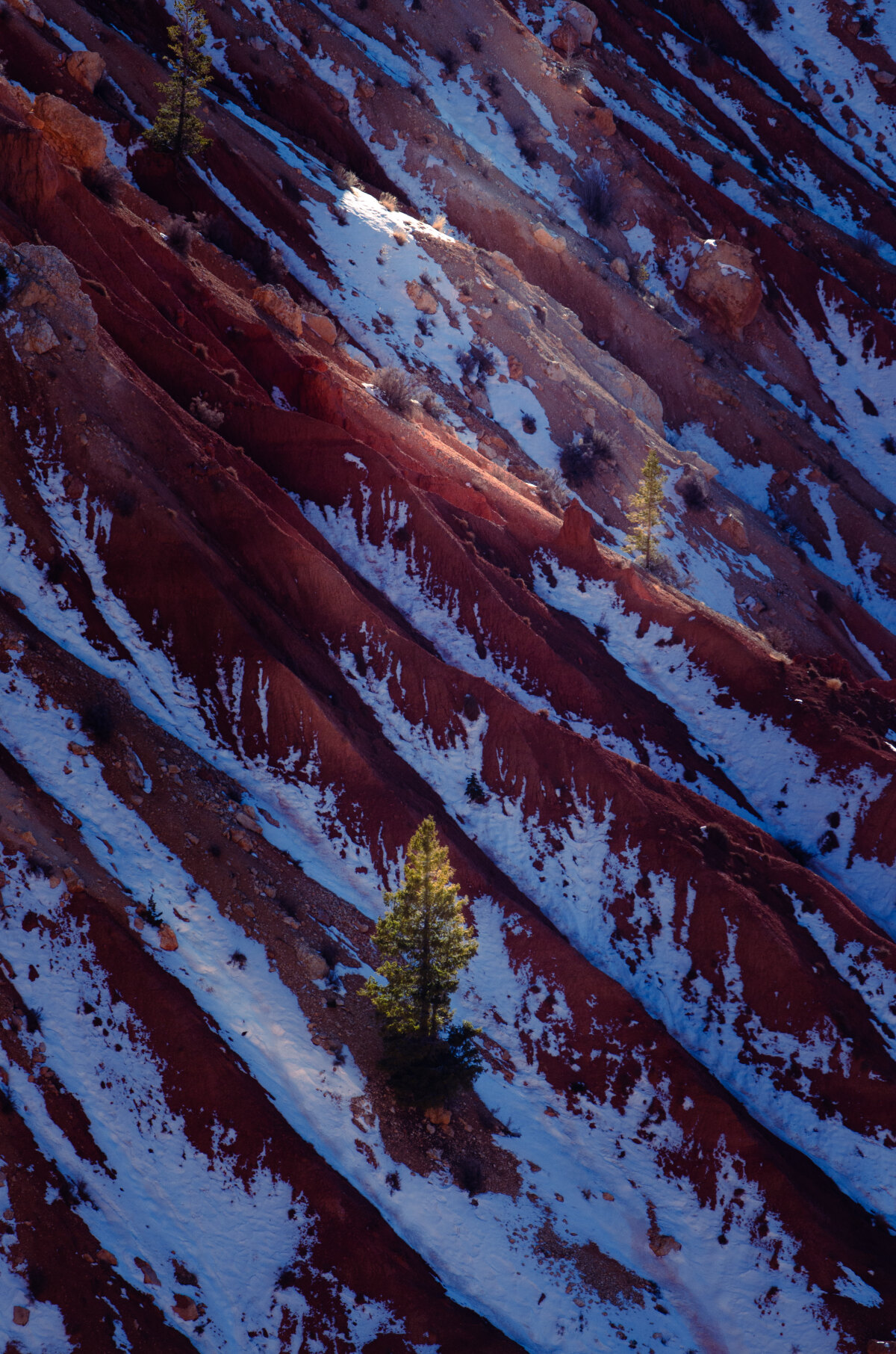 Yufan Jiang | The Independent Photographer