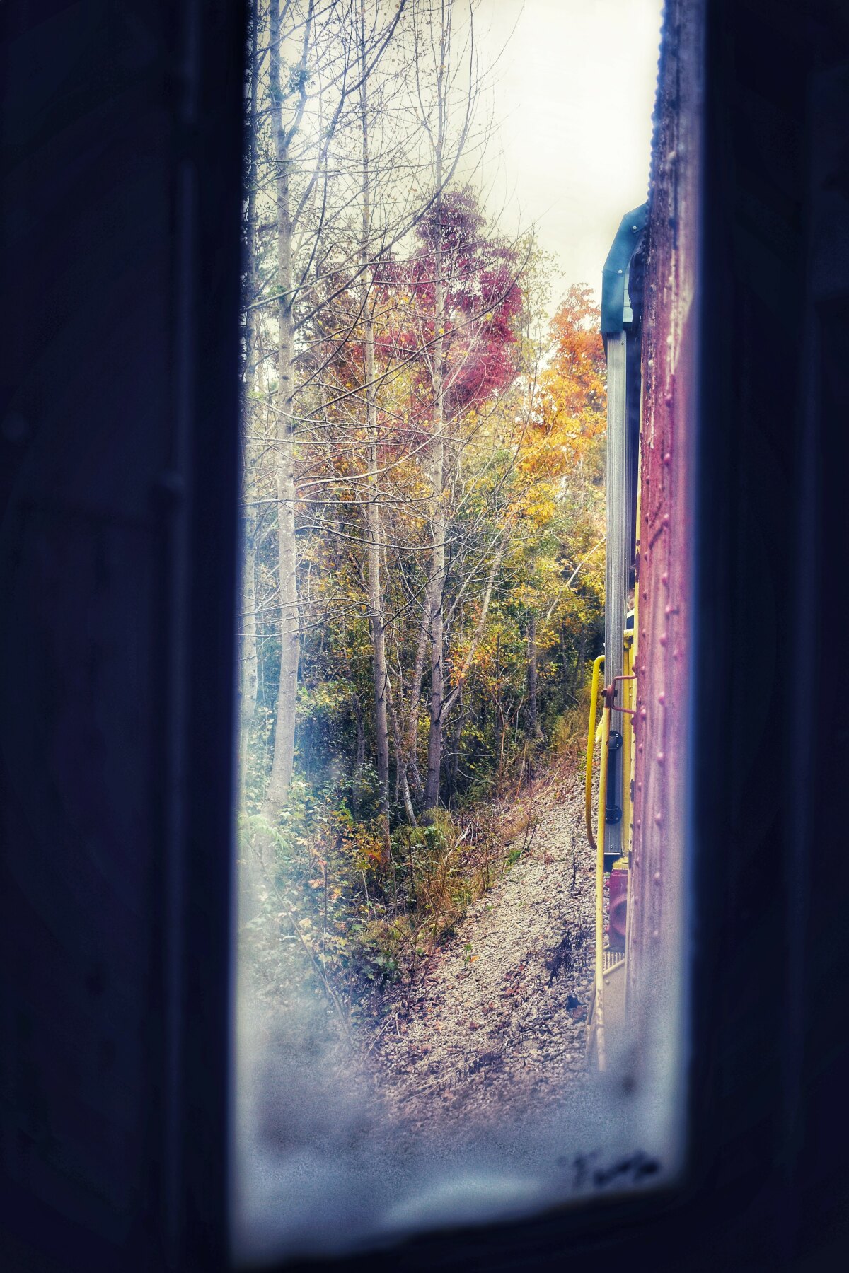 Craig Glass | The Independent Photographer