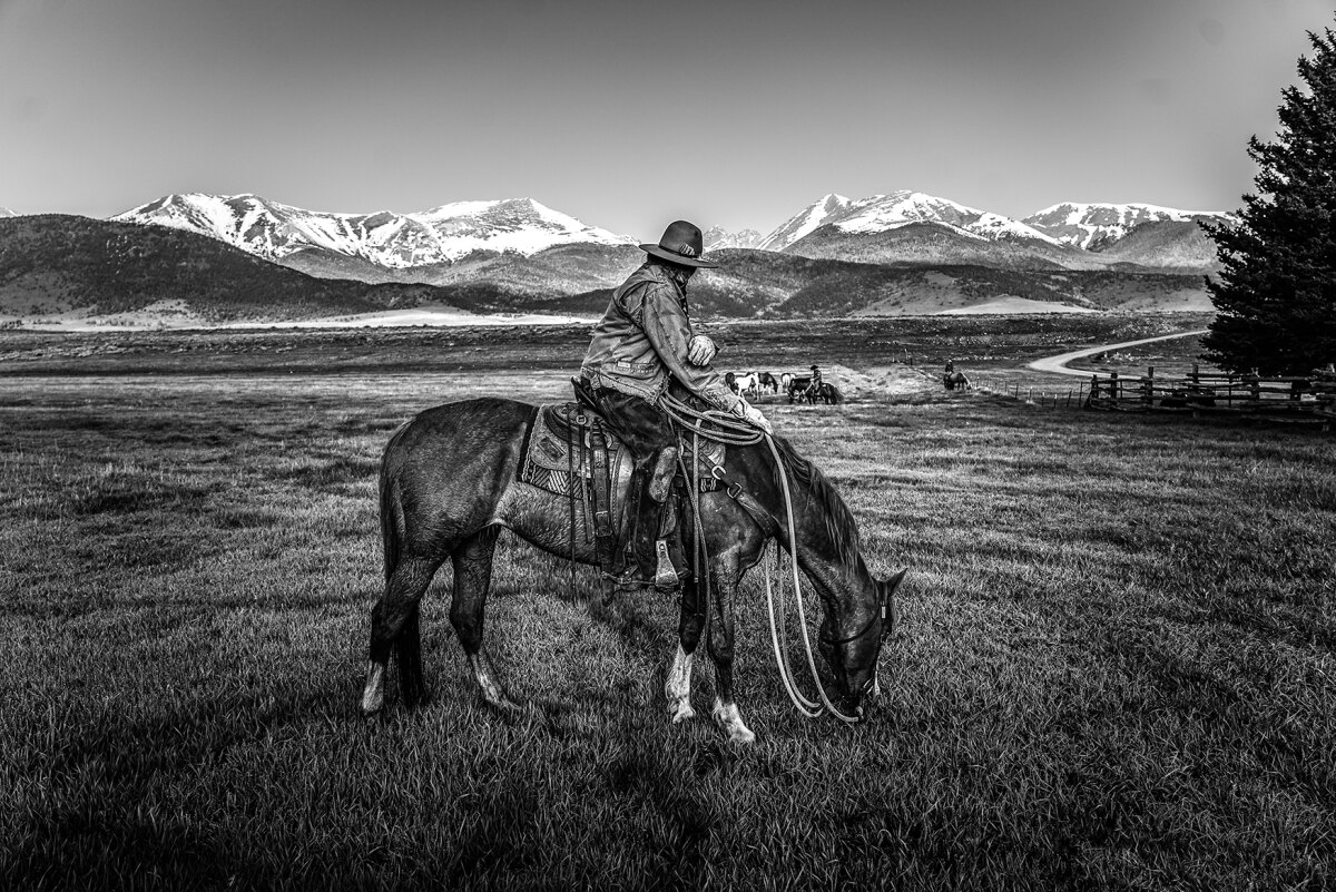 Ximena Rosenberg | The Independent Photographer