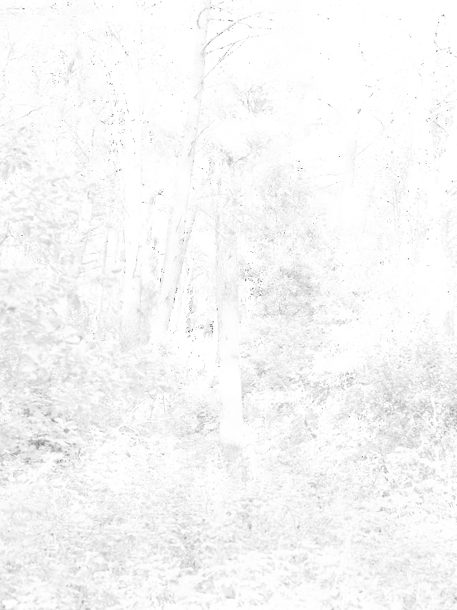 massimo barberio | The Independent Photographer