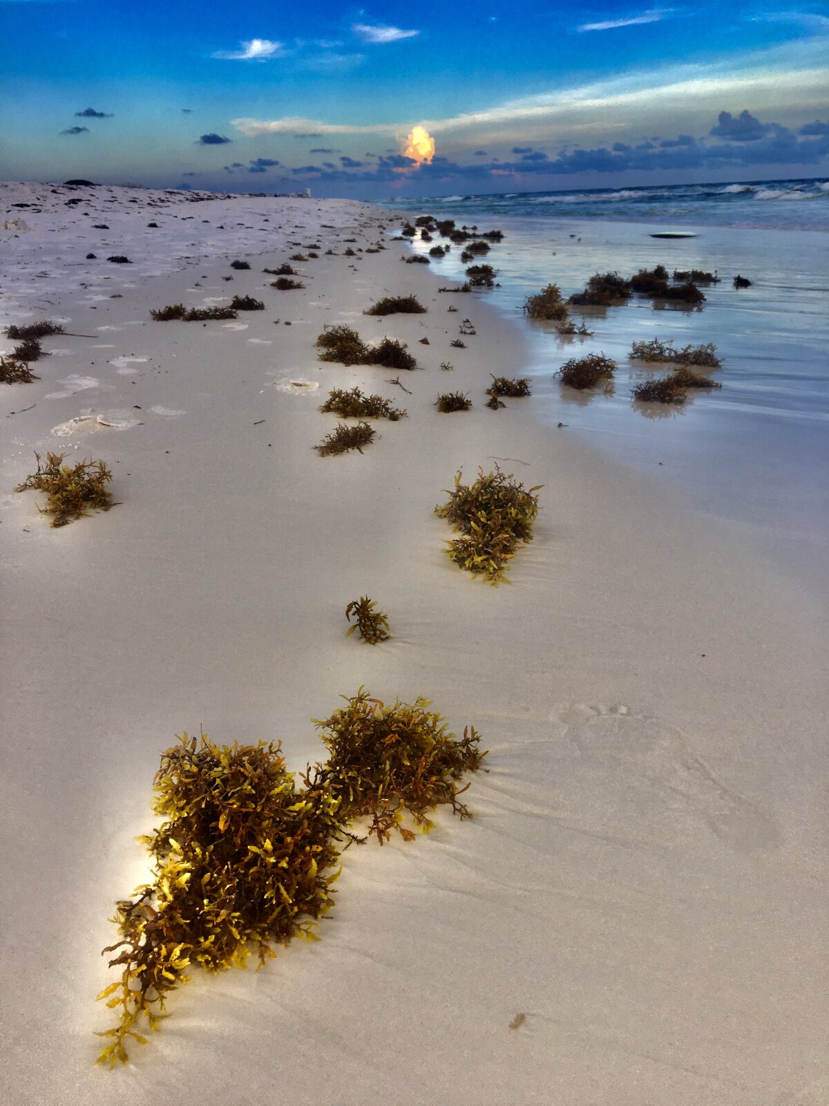 Hattie Kennedy | The Independent Photographer