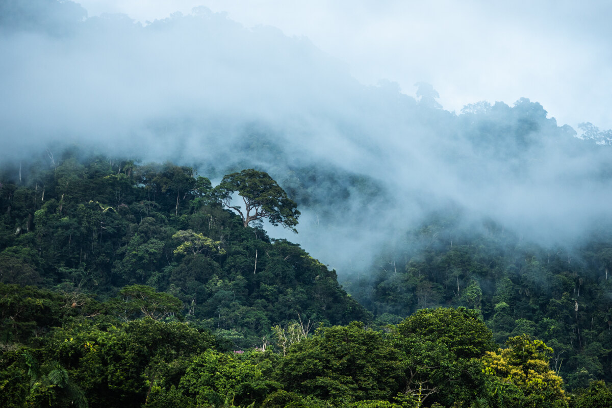 Rhys Logan | The Independent Photographer