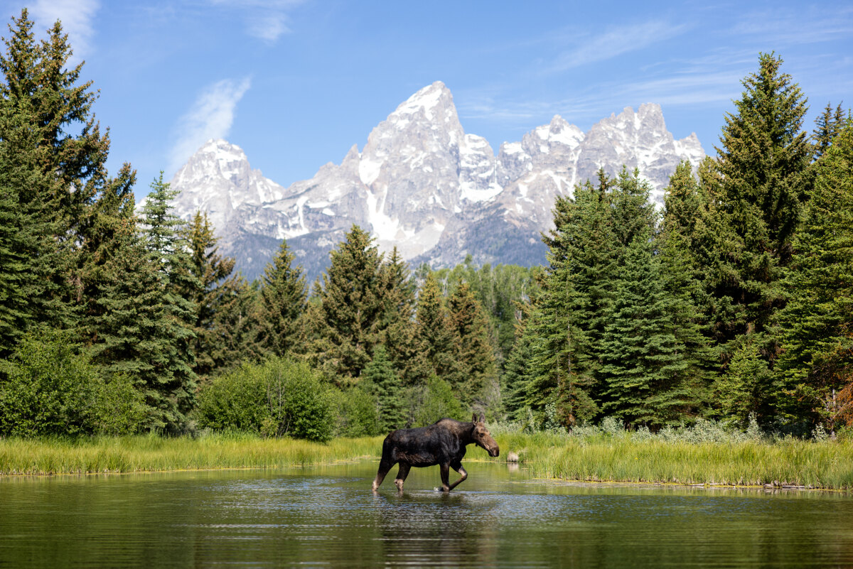 Jay Kazen | The Independent Photographer