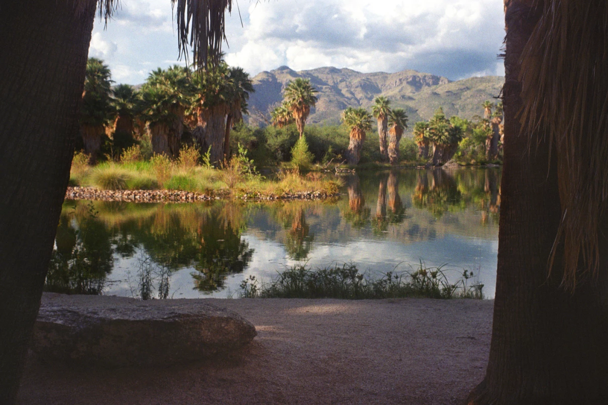 Hal Tretbar | The Independent Photographer