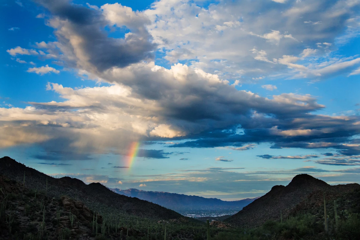 Hal Tretbar | The Independent Photographer