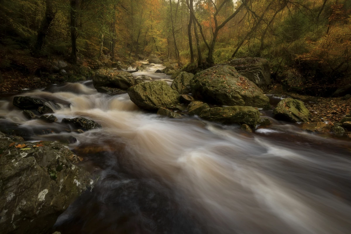 Markus van Hauten | The Independent Photographer