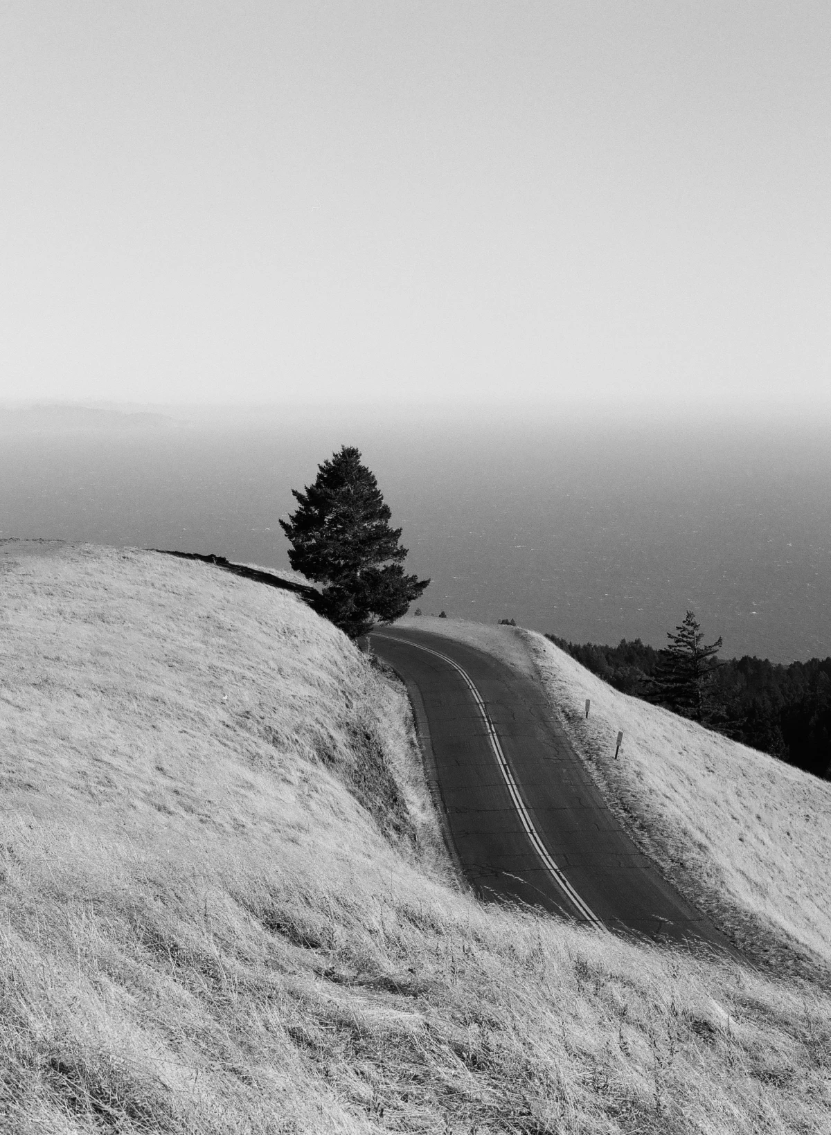 Bauer Morgan | The Independent Photographer