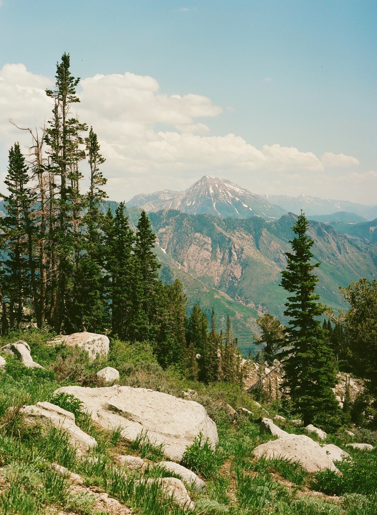 Bauer Morgan | The Independent Photographer