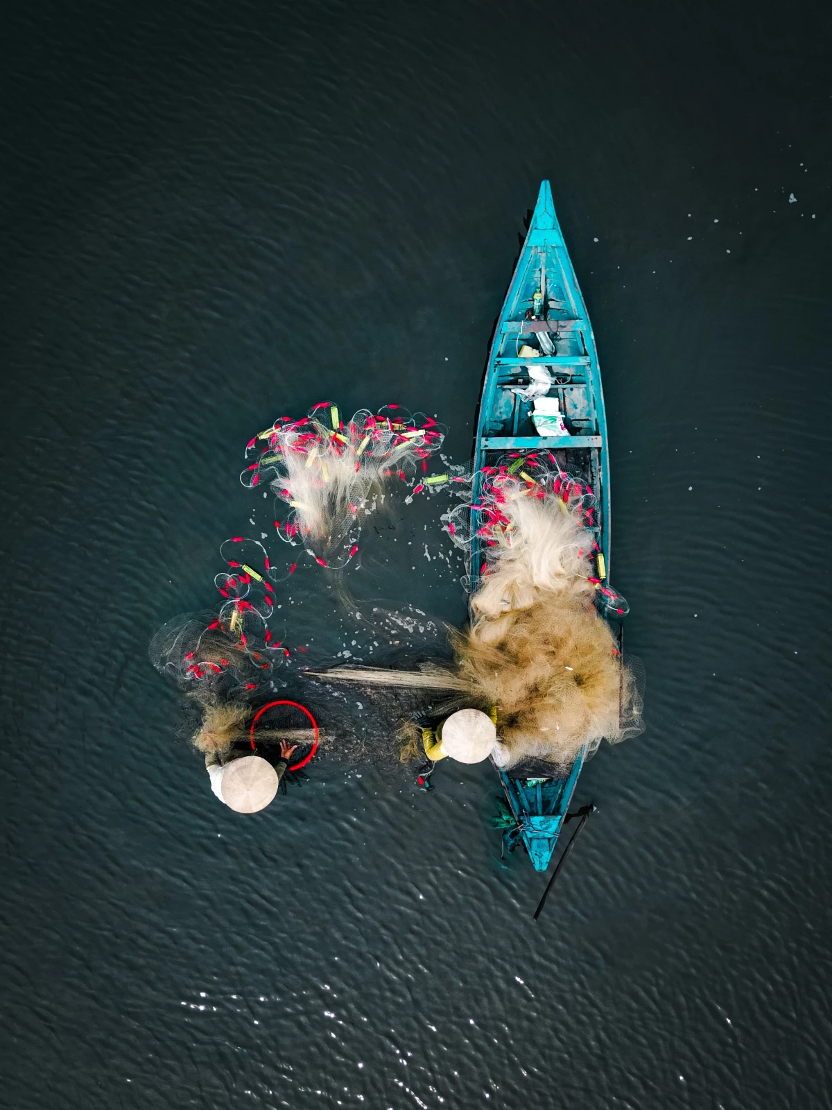 Elisa Colusso | The Independent Photographer