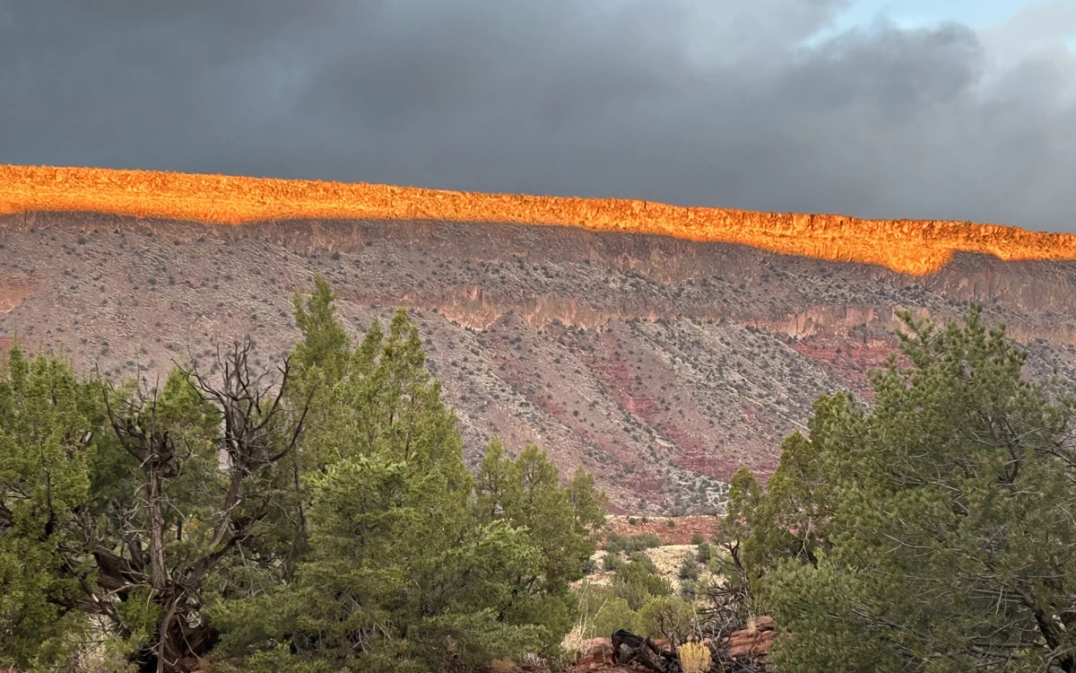 Elizabeth Godfrey | The Independent Photographer