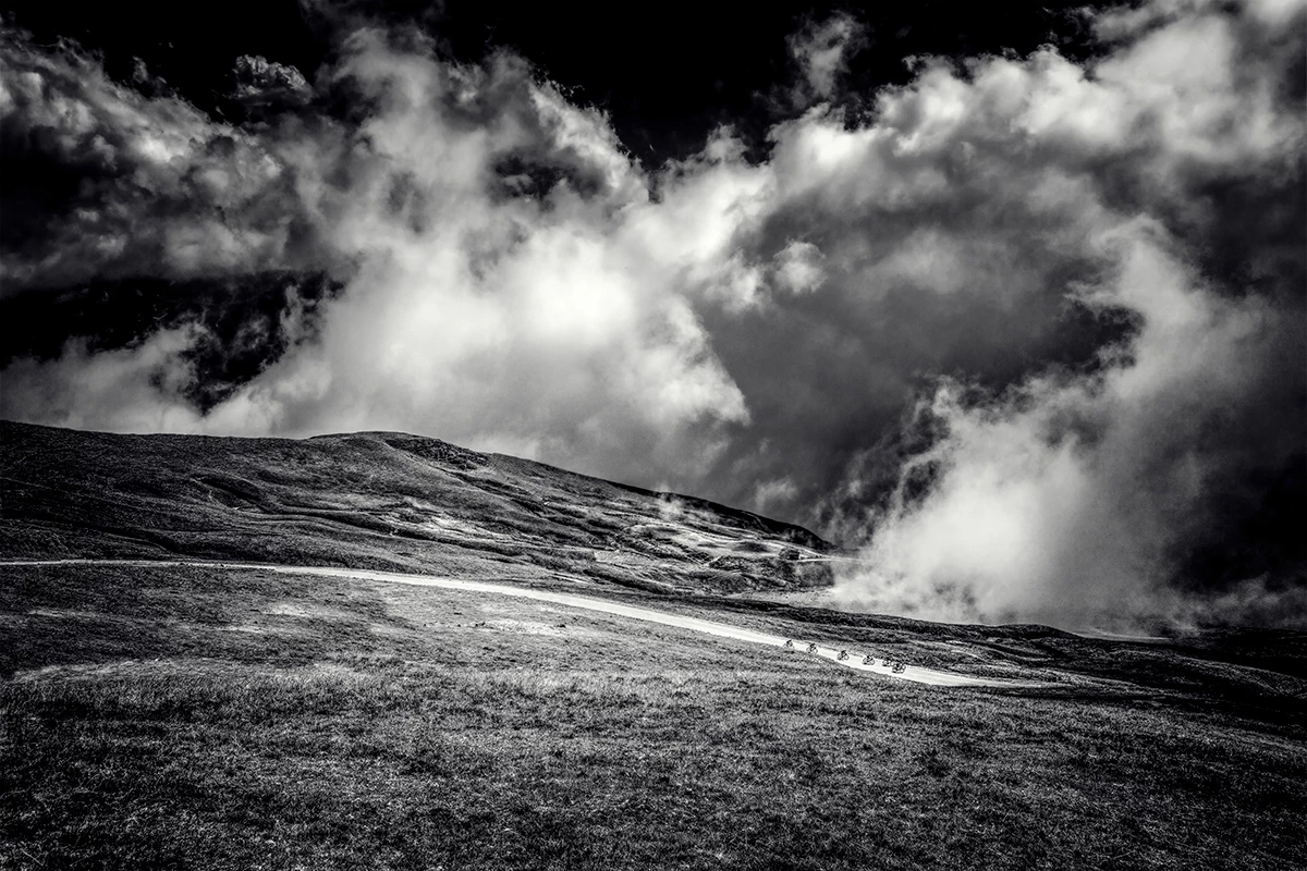 David Tedman | The Independent Photographer