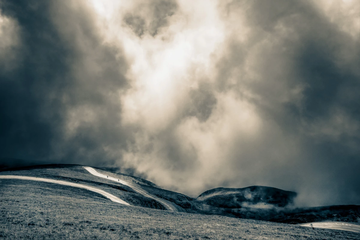 David Tedman | The Independent Photographer