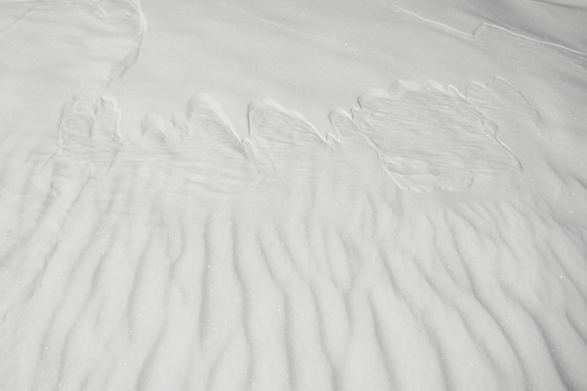 Billy Delfs | The Independent Photographer