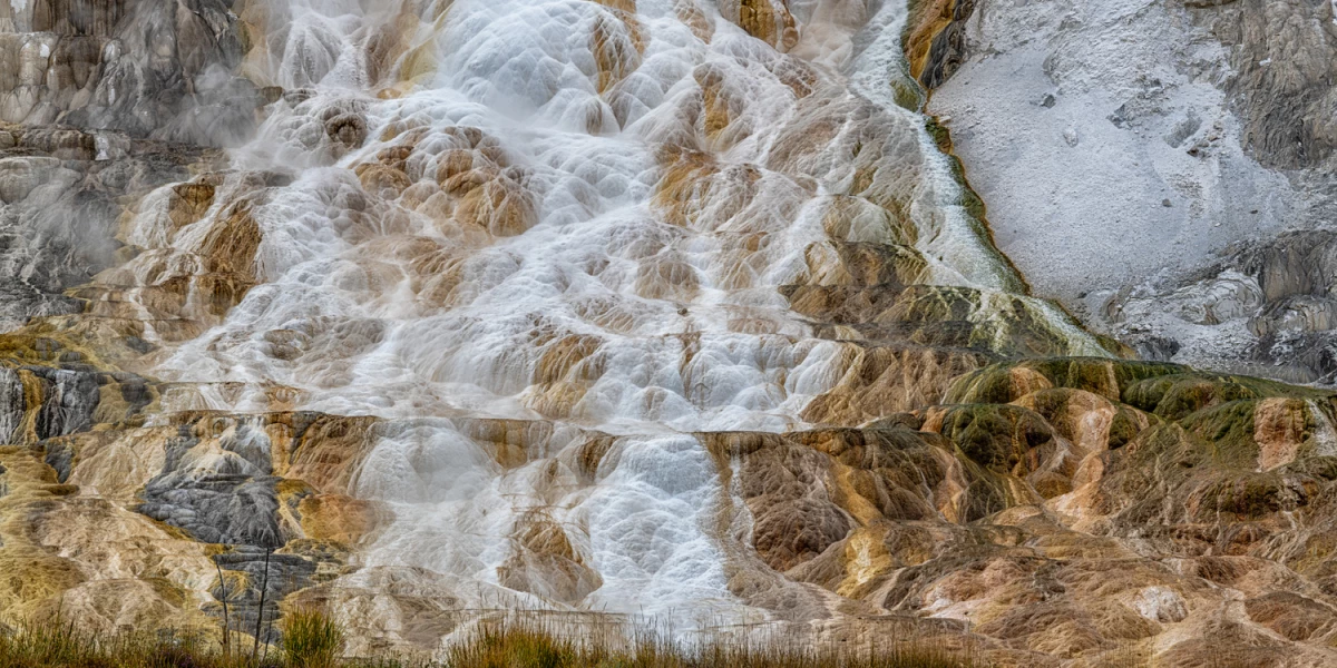 Terry Shapiro | The Independent Photographer