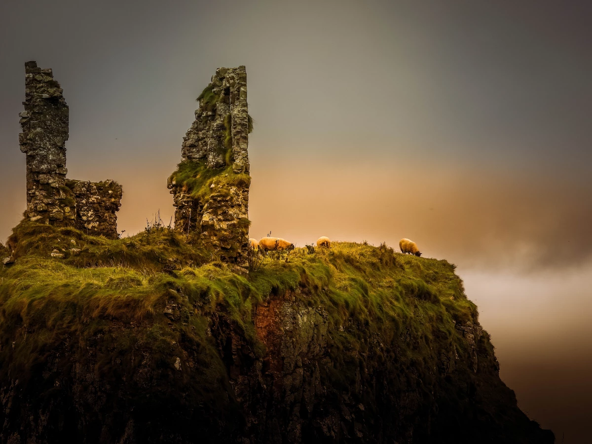 Nick Hahn | The Independent Photographer