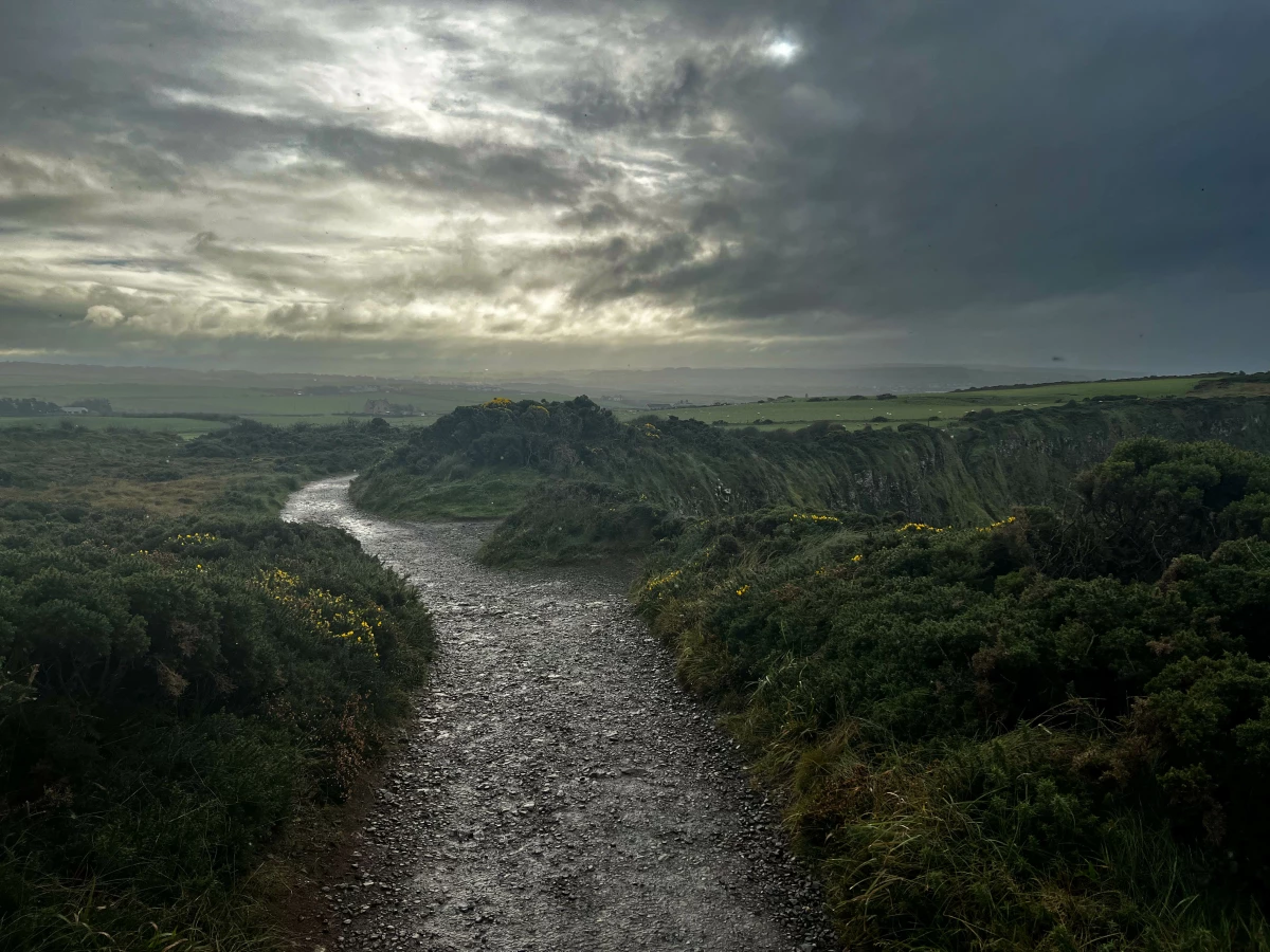 Nick Hahn | The Independent Photographer