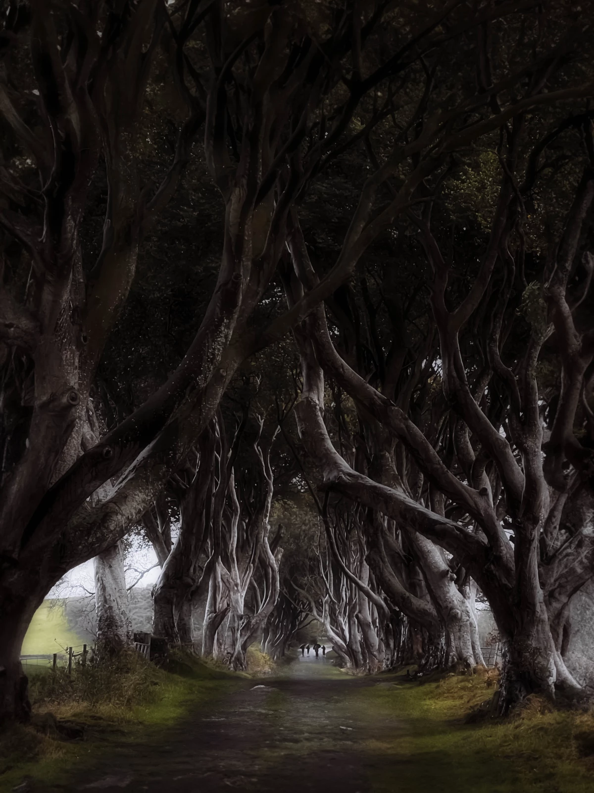 Nick Hahn | The Independent Photographer