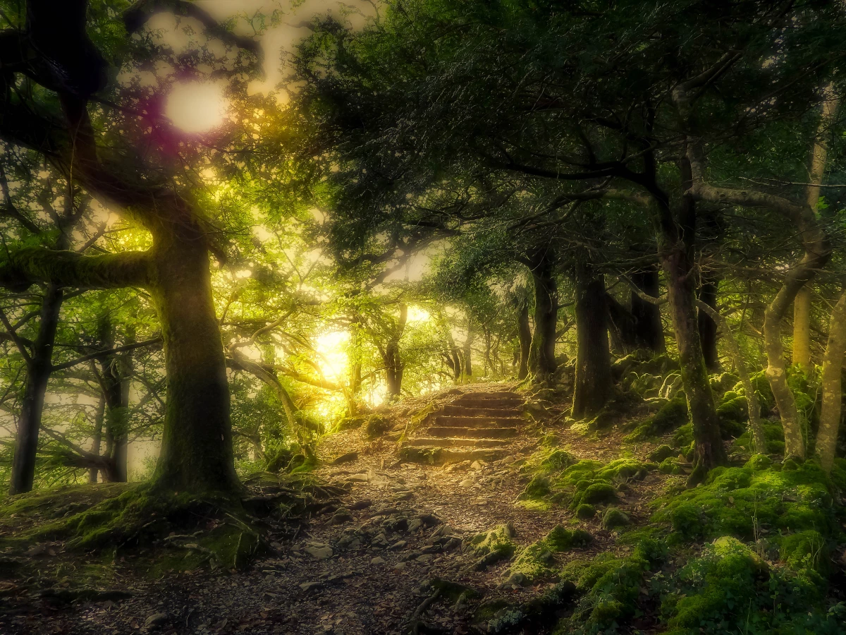 Nick Hahn | The Independent Photographer