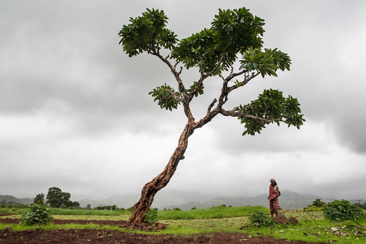 Eva Erdmann | The Independent Photographer