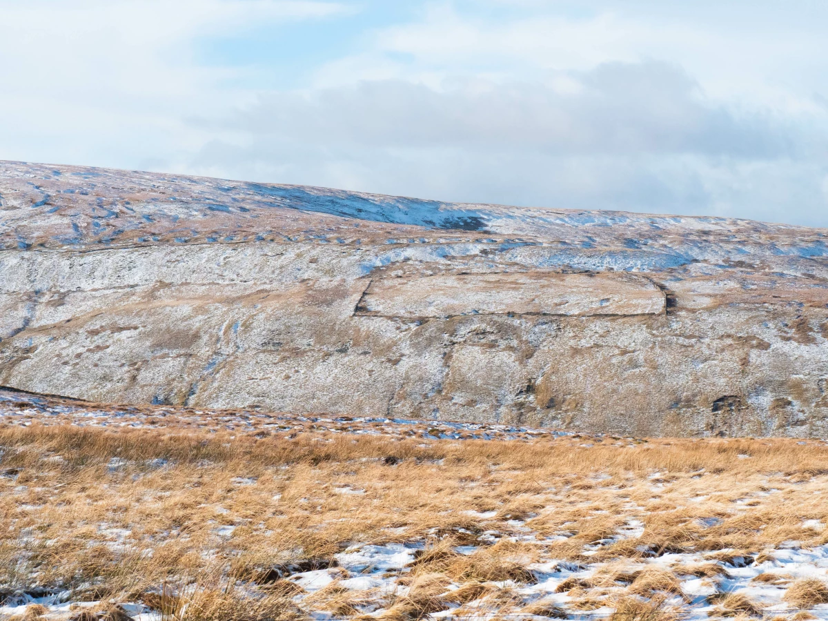 Mario Walker | The Independent Photographer