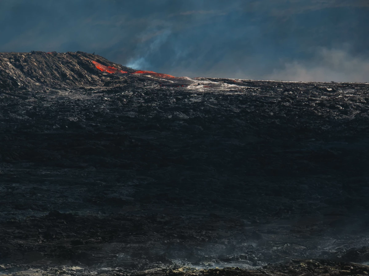 Mario Walker | The Independent Photographer