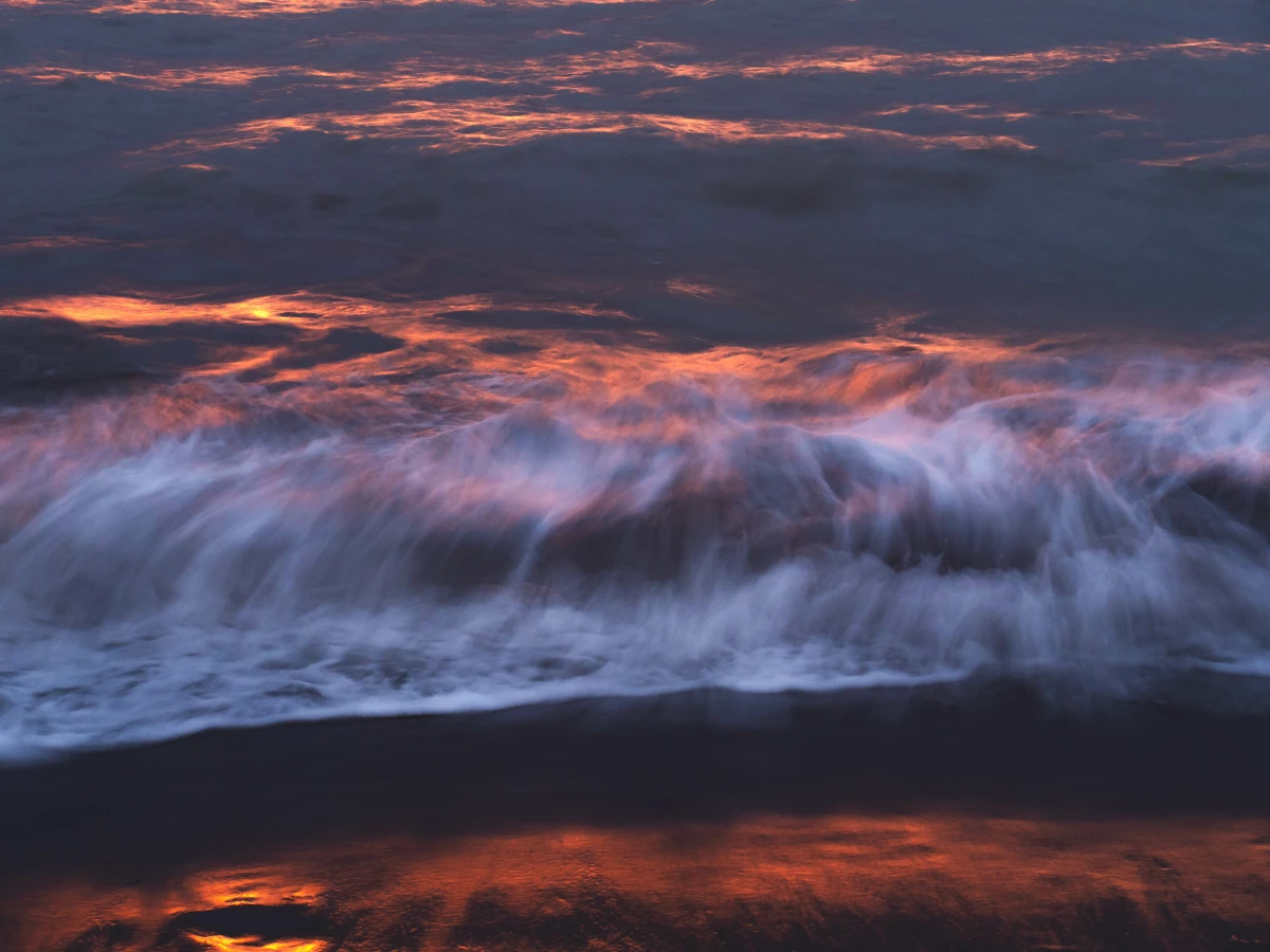 Mario Walker | The Independent Photographer