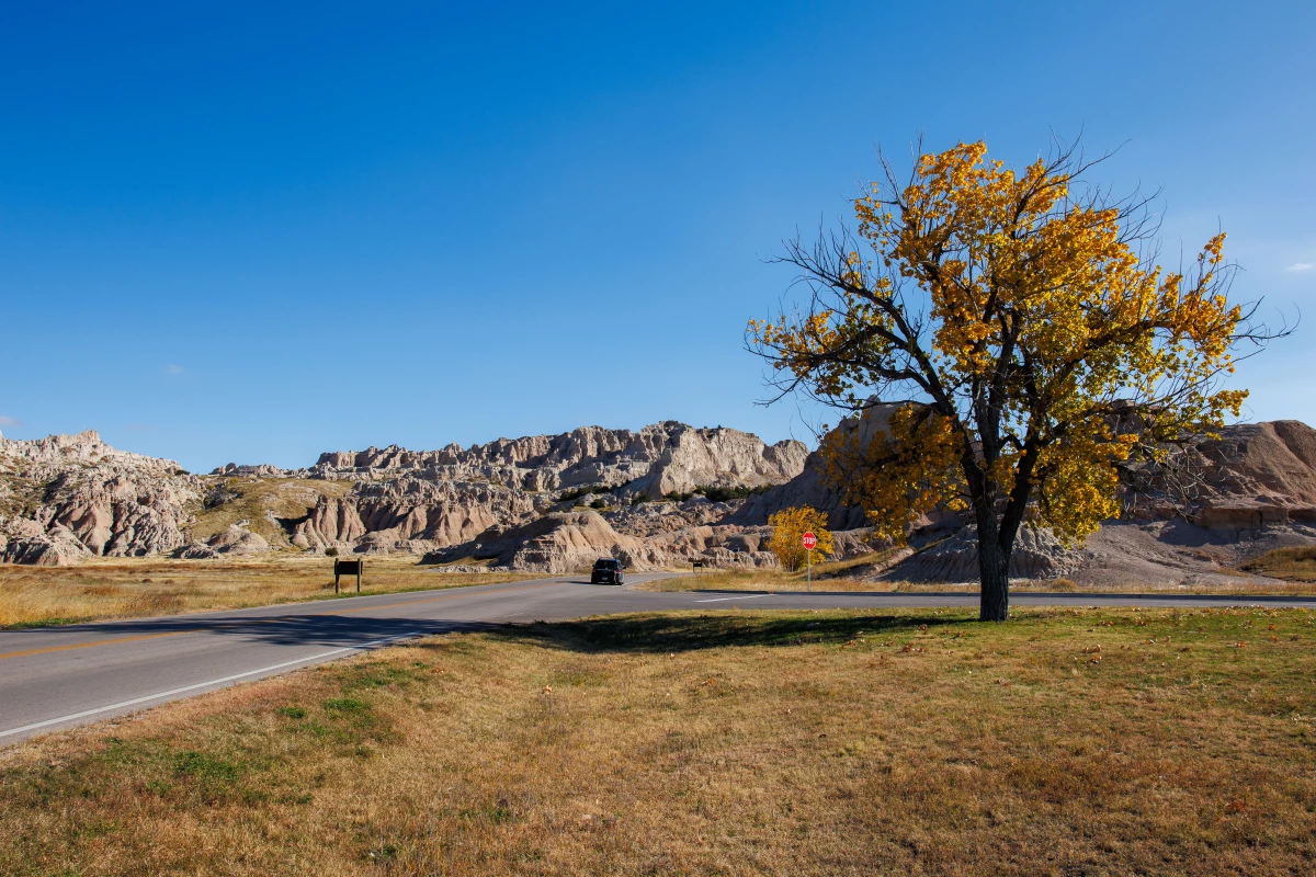 Levi Olson | The Independent Photographer