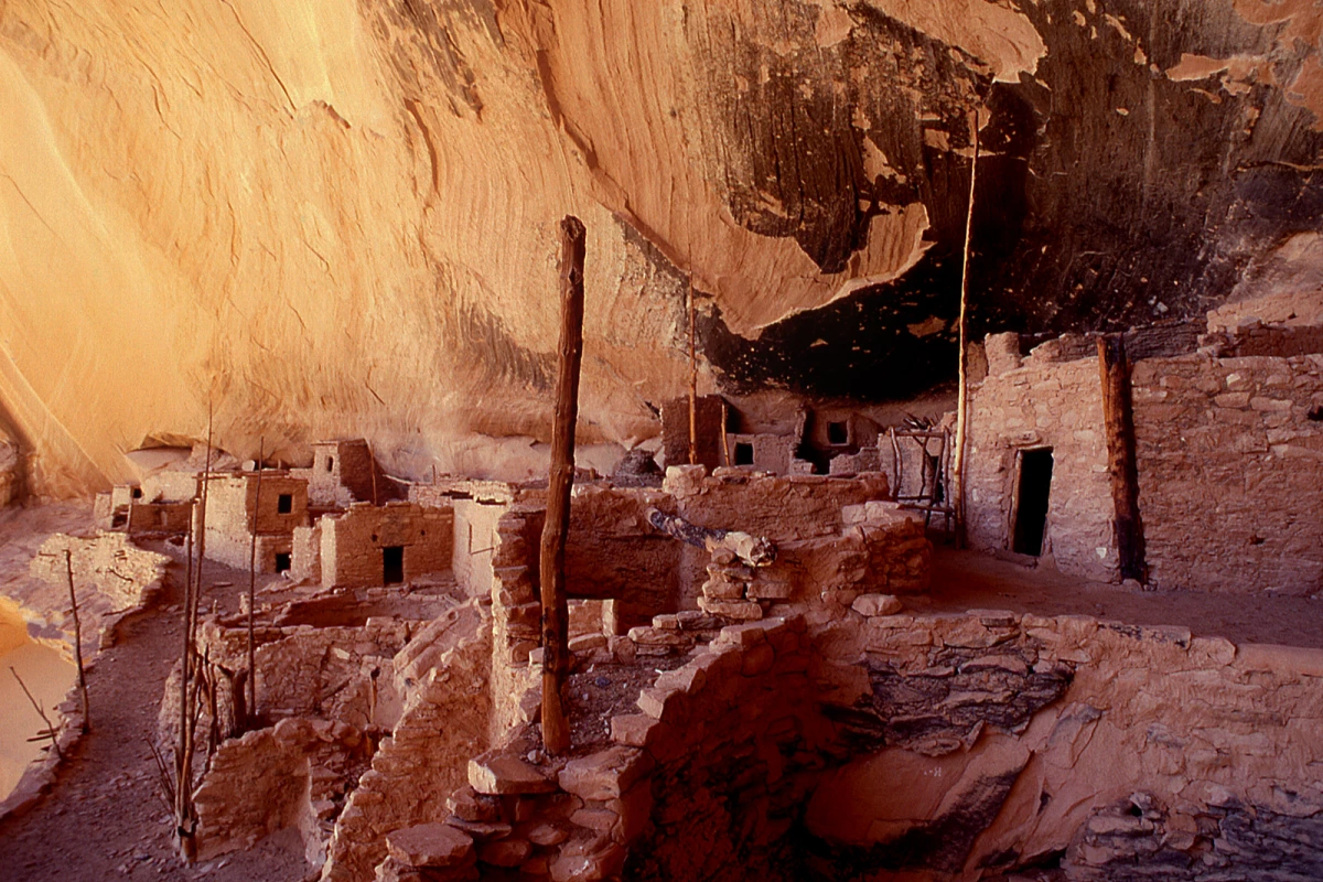 Hal Tretbar | The Independent Photographer