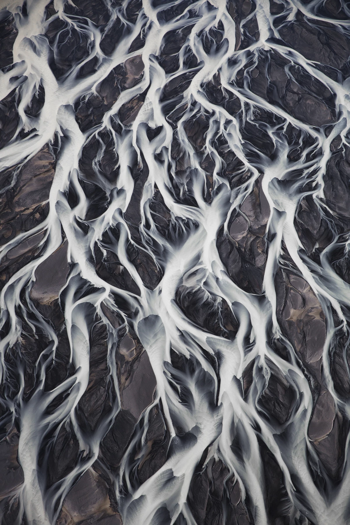 Stephen King | The Independent Photographer