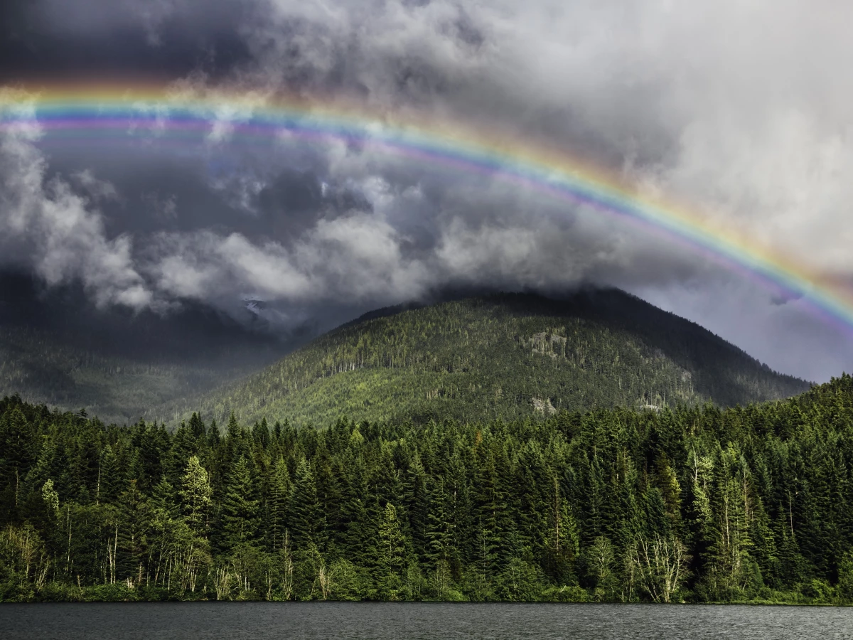 Samuel Comber | The Independent Photographer