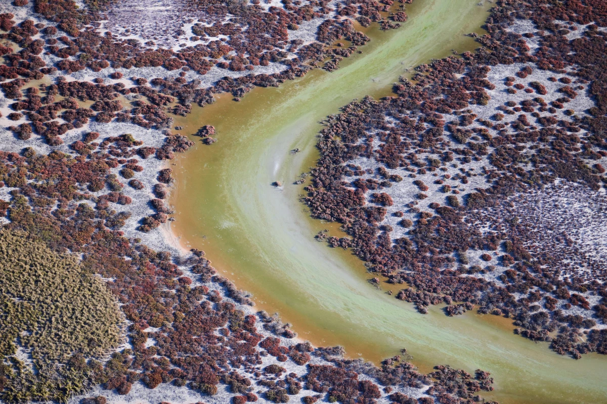 Steven Manolakis | The Independent Photographer