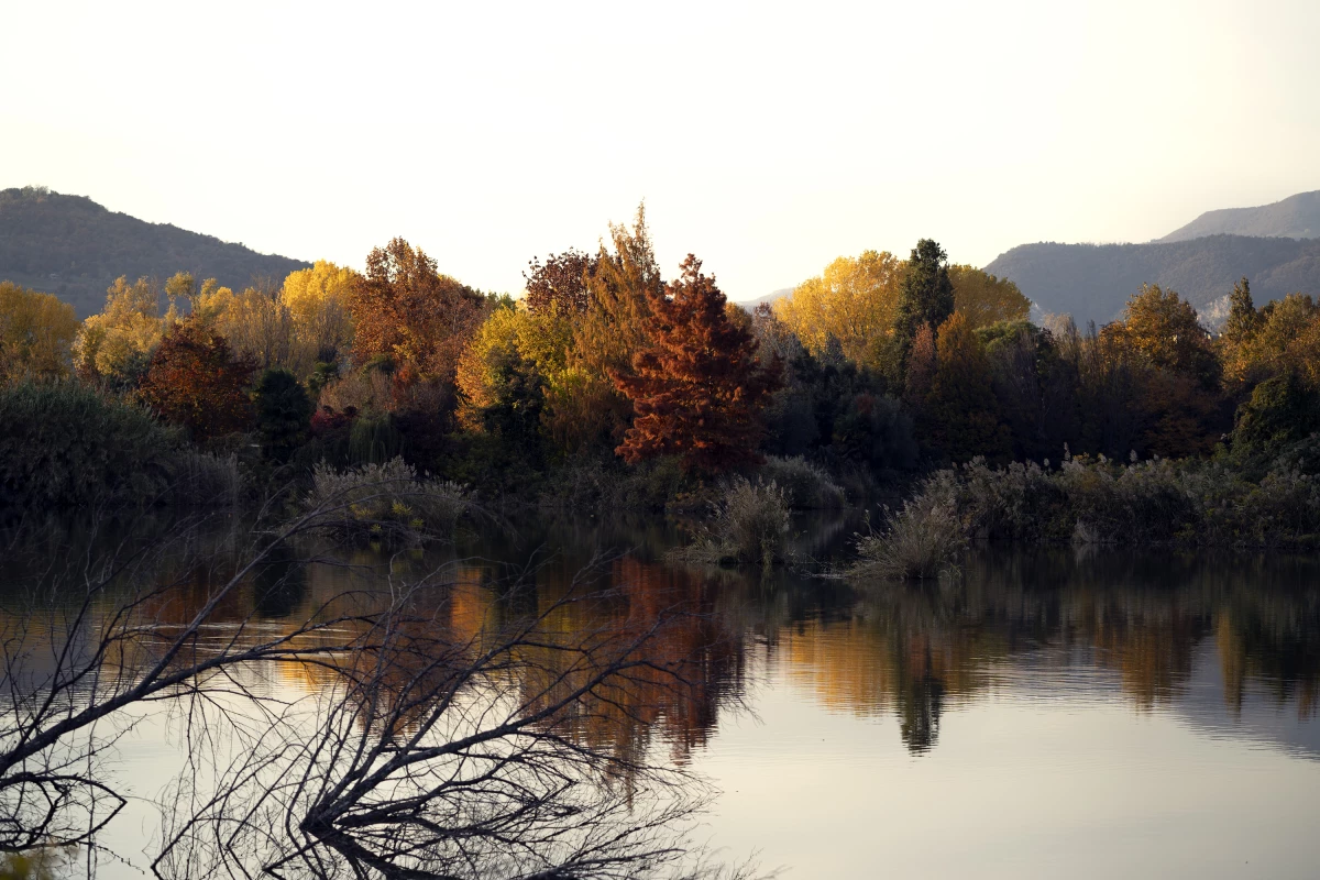 Marco Trevisan | The Independent Photographer