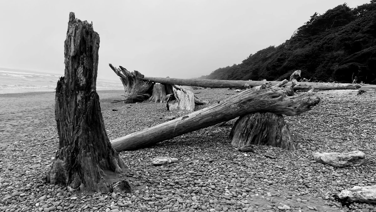 Nick Wakefield | The Independent Photographer