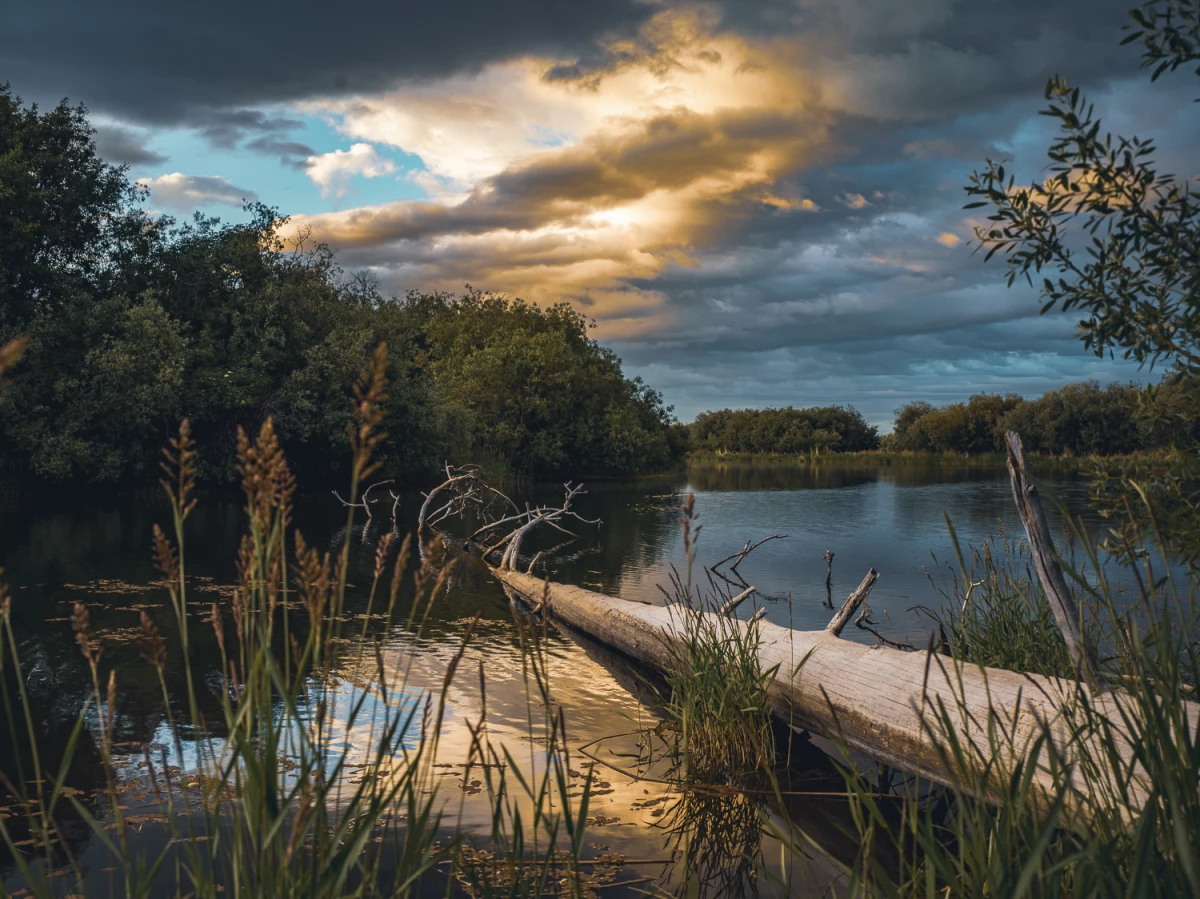 Angelo Pullen | The Independent Photographer