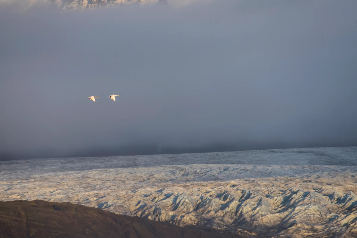 Frédéric Demeuse | The Independent Photographer