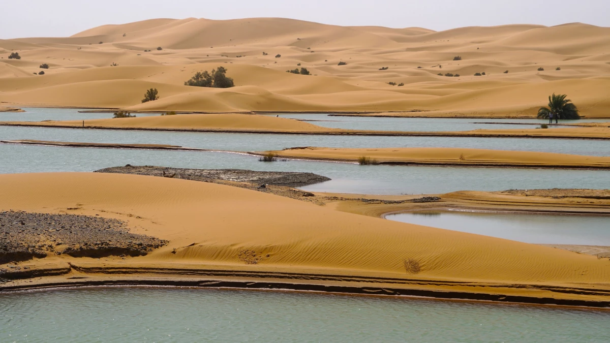 Gabriel Navarro | The Independent Photographer