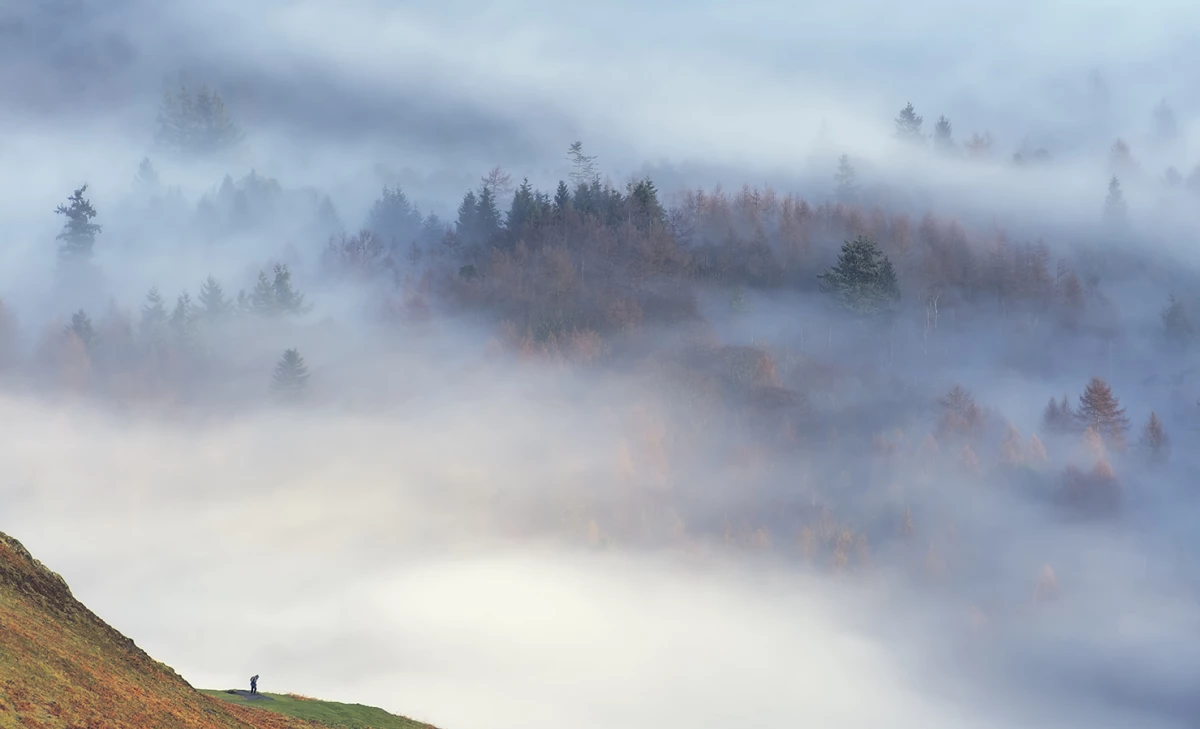 Peter Rodgers | The Independent Photographer