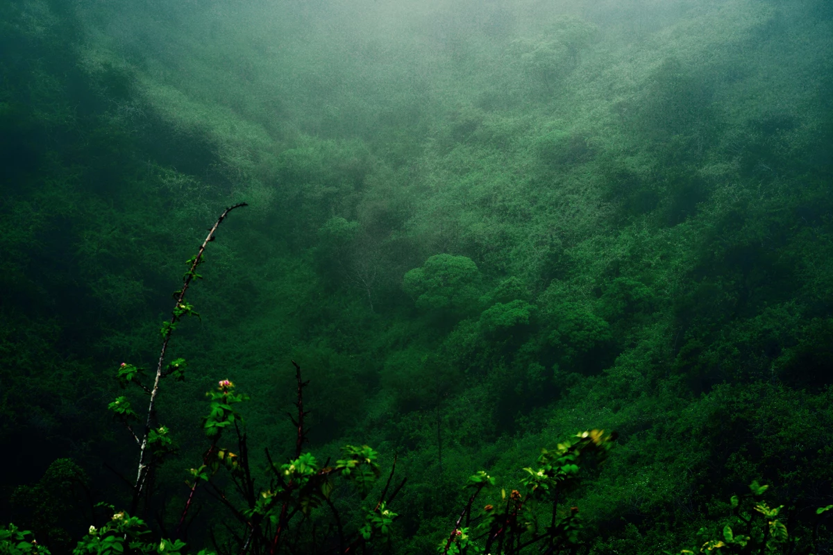 Anne Grosse-Leege | The Independent Photographer