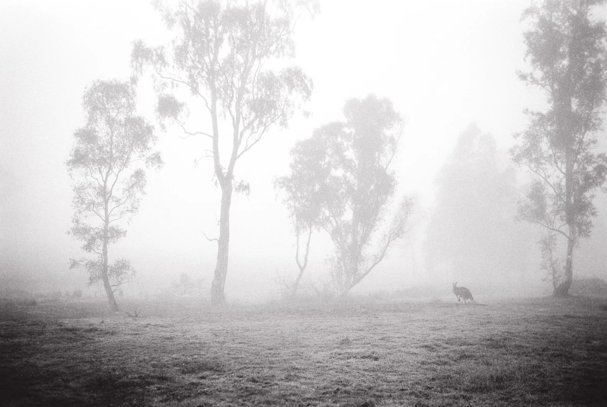 Adrian Saunders | The Independent Photographer