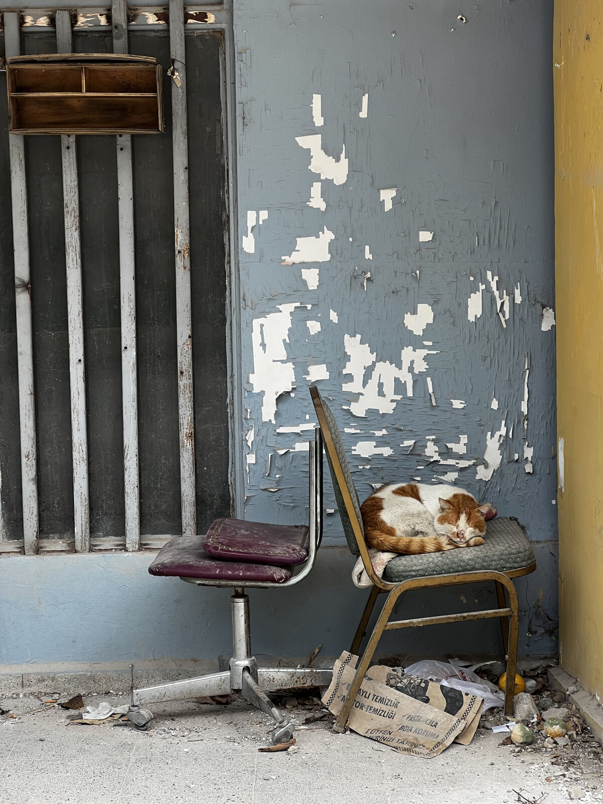 Karina Zubenko | The Independent Photographer