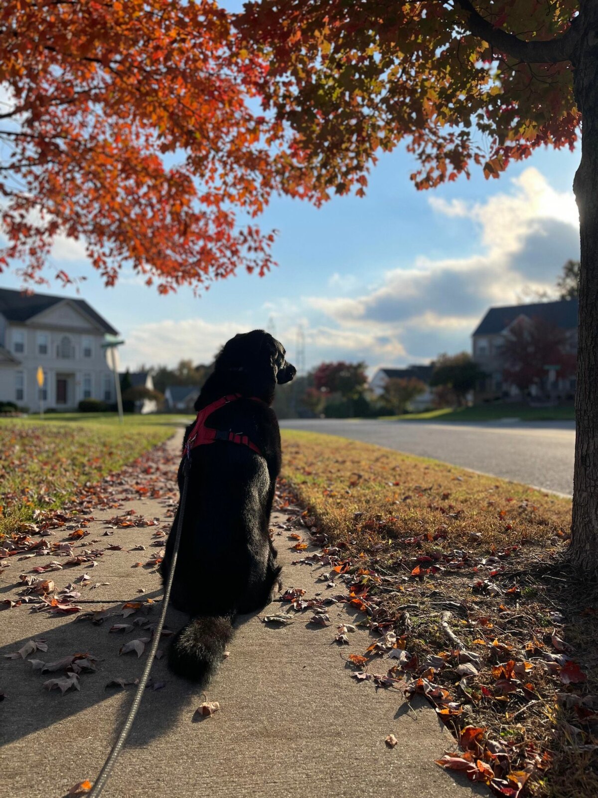 John Lofton IV | The Independent Photographer