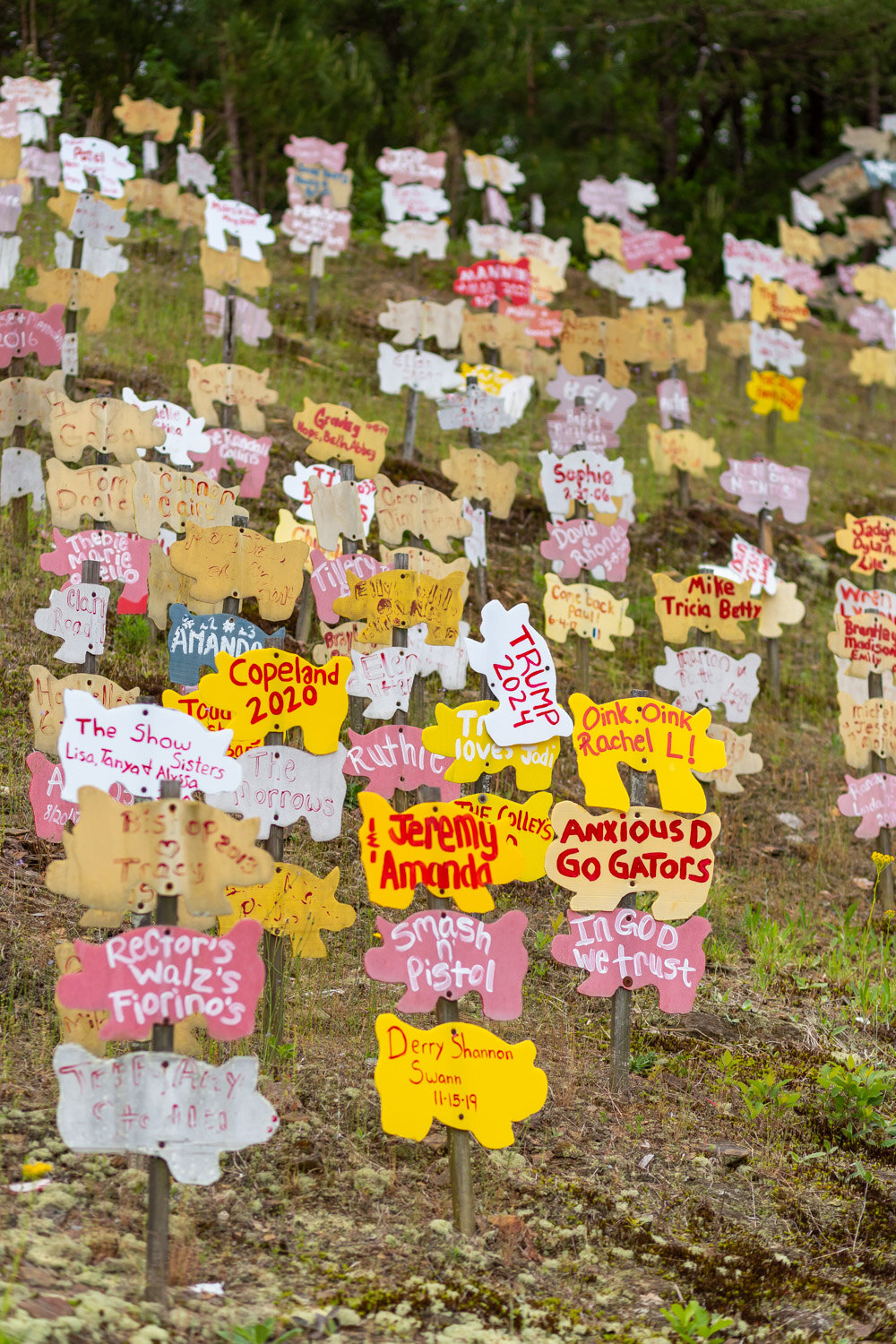 Robert Grand | The Independent Photographer