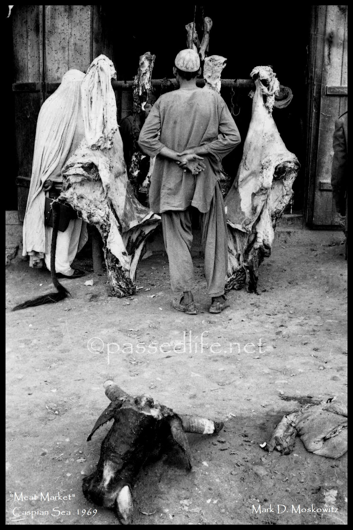 Mark Moskowitz | The Independent Photographer