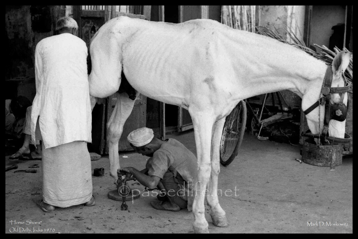 Mark Moskowitz | The Independent Photographer