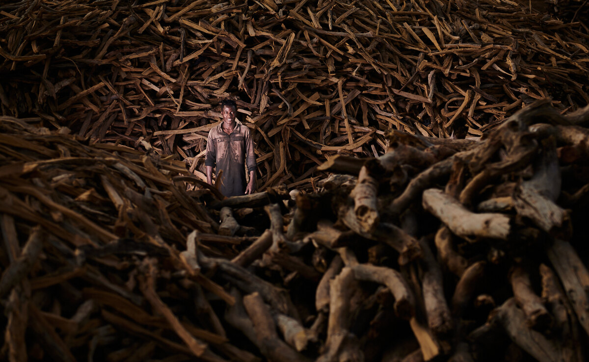 Marios Forsos | The Independent Photographer