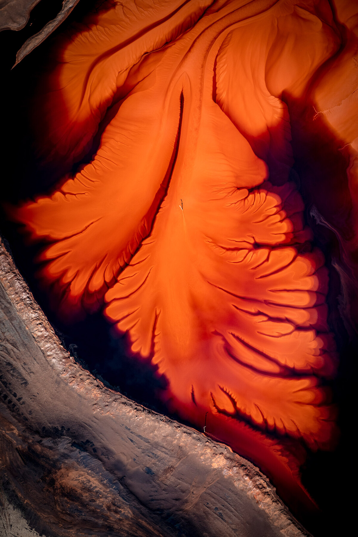 Tom Putt | The Independent Photographer